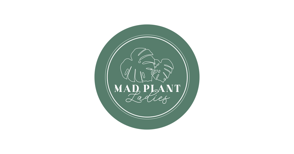 Mad Plant Ladies | Indoor Plants, Planters & Gifts – Loganholme, QLD