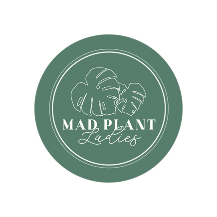 Mad Plant Ladies | Indoor Plants, Planters & Gifts – Loganholme, QLD