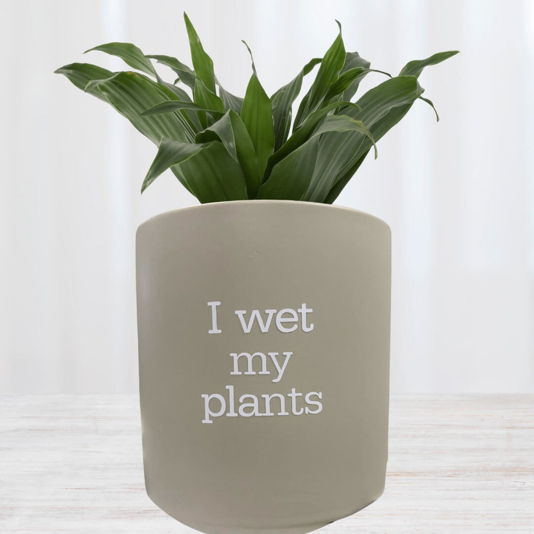 Funny Indoor Plant Pot Gift - Pun Pots by Mad Plant Ladies