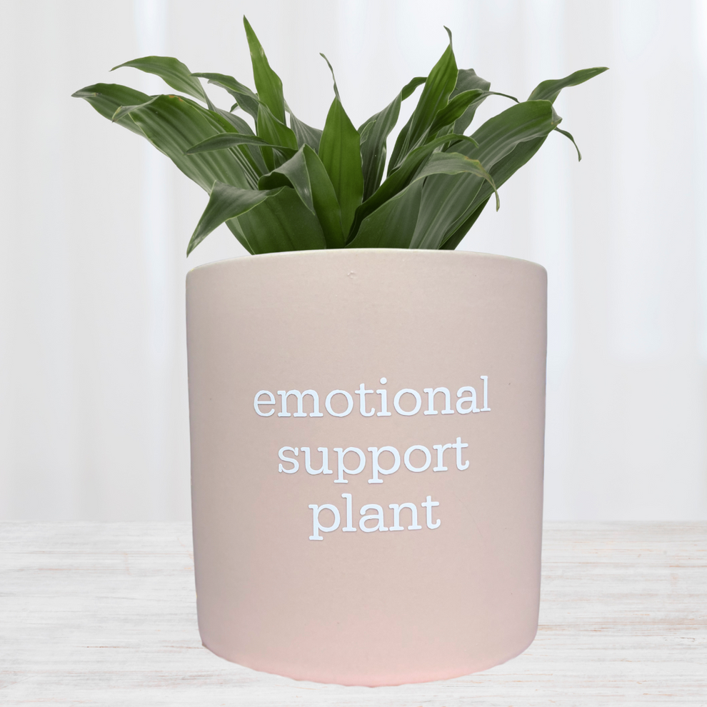 'emotional support plant' Pun Pot – Mad Plant Ladies
