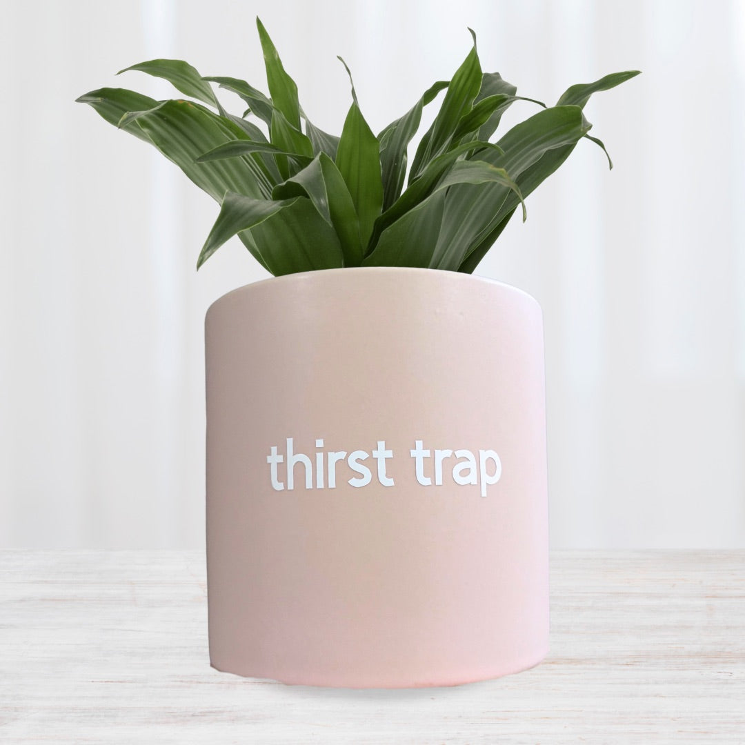 'Thirst Trap' Planter – Mad Plant Ladies